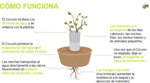 El Cocoon es la solución para las reforestaciones | Innovariego